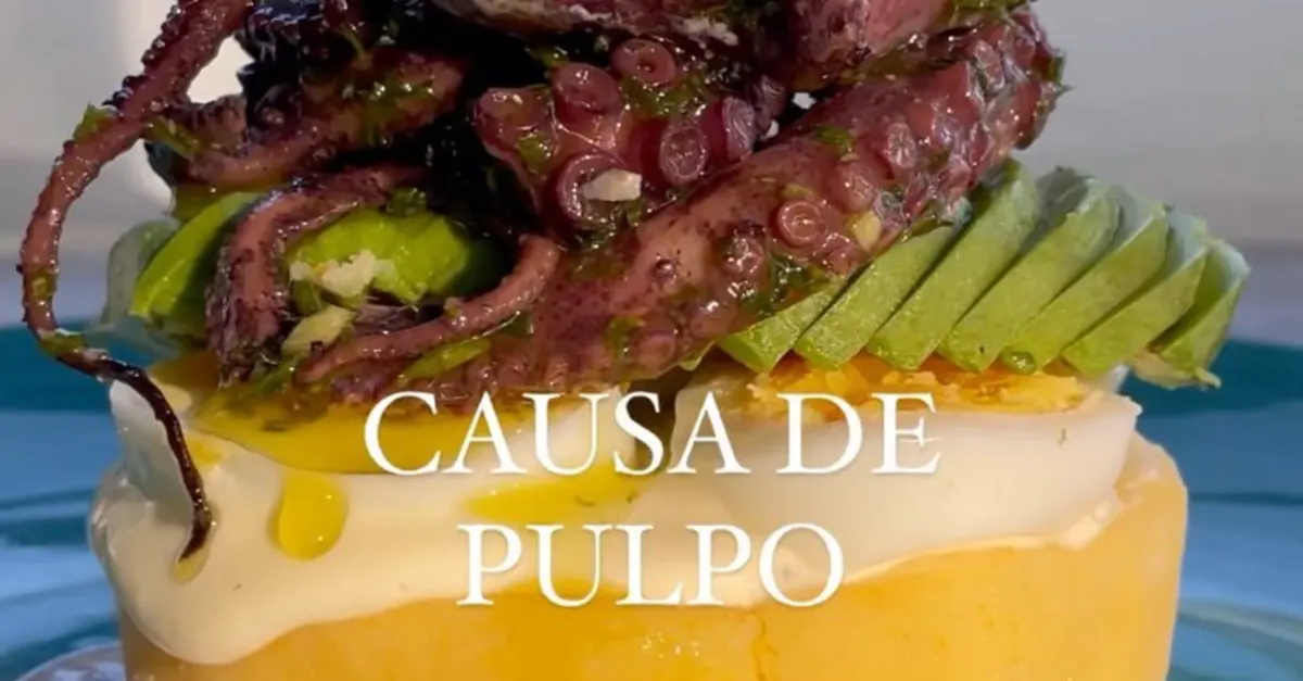 OCTOPUS CAUSA | Provecho
