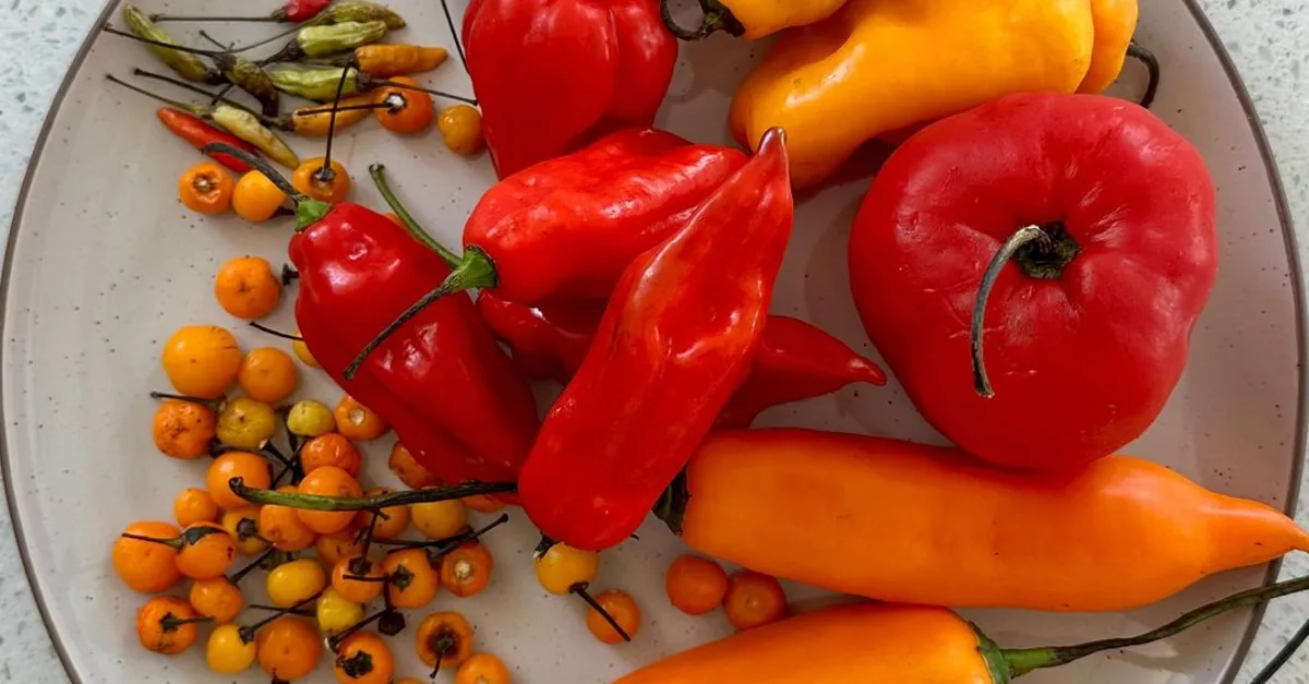 Peruvian pickled peppers | Provecho