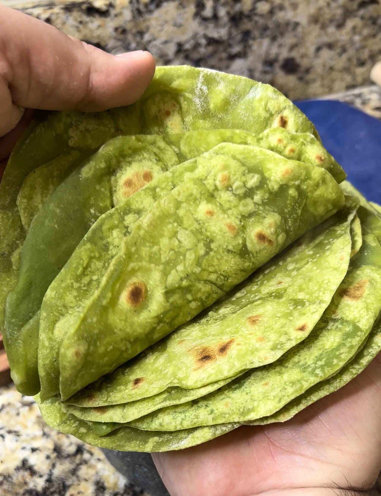 Spinach Flour Tortillas | Freddsters