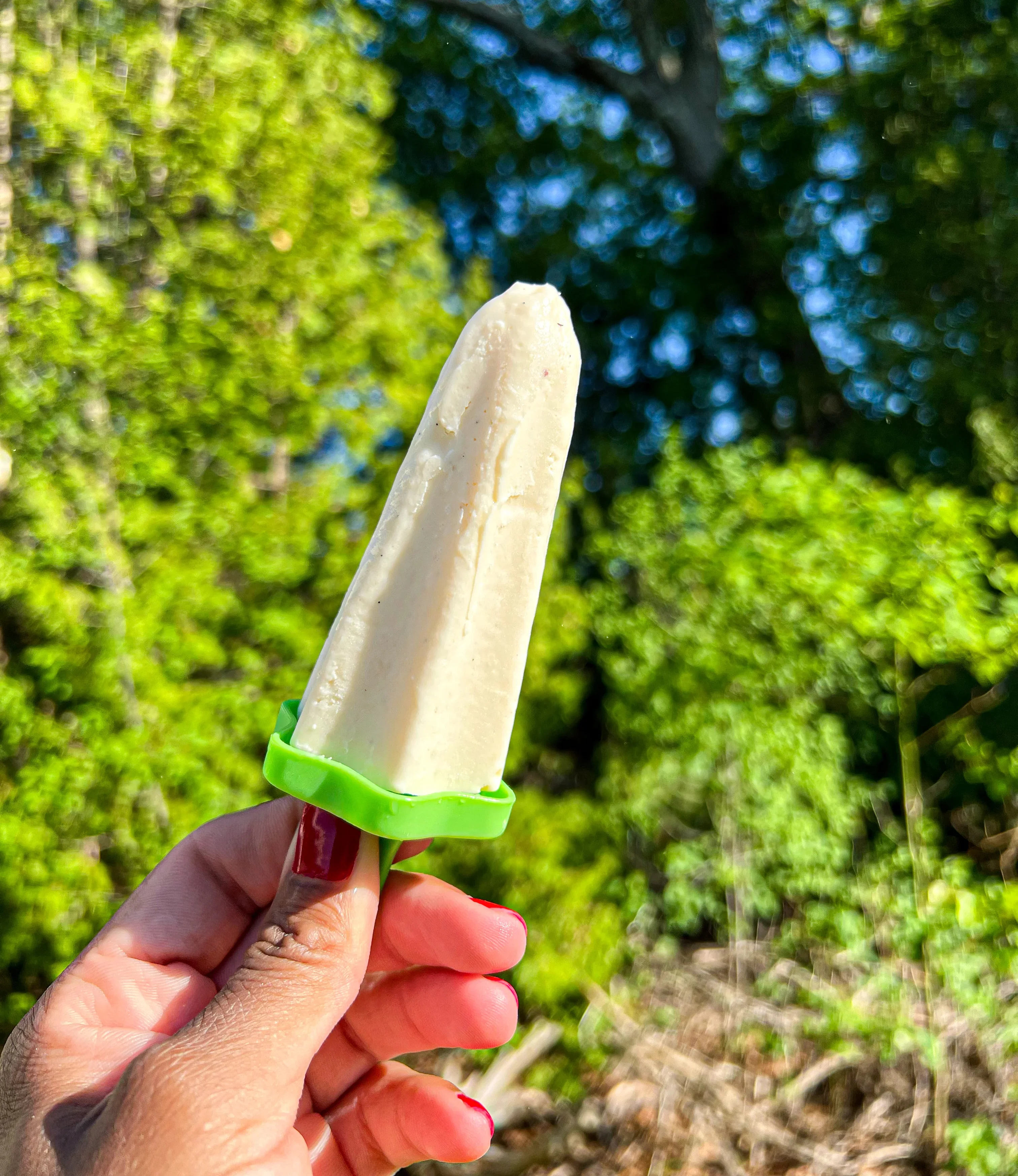 Soursop Ice Pops | Provecho