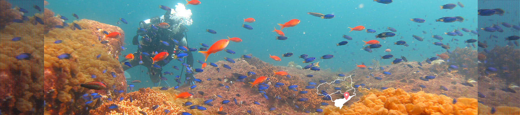 Sightseeing and trips in Minami・Mugi・Shishikui | ai Tripper travel ...