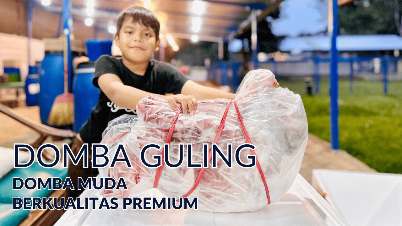 Domba Guling Premium – Siap Sembelih, Kulit, & Kemas - Bali