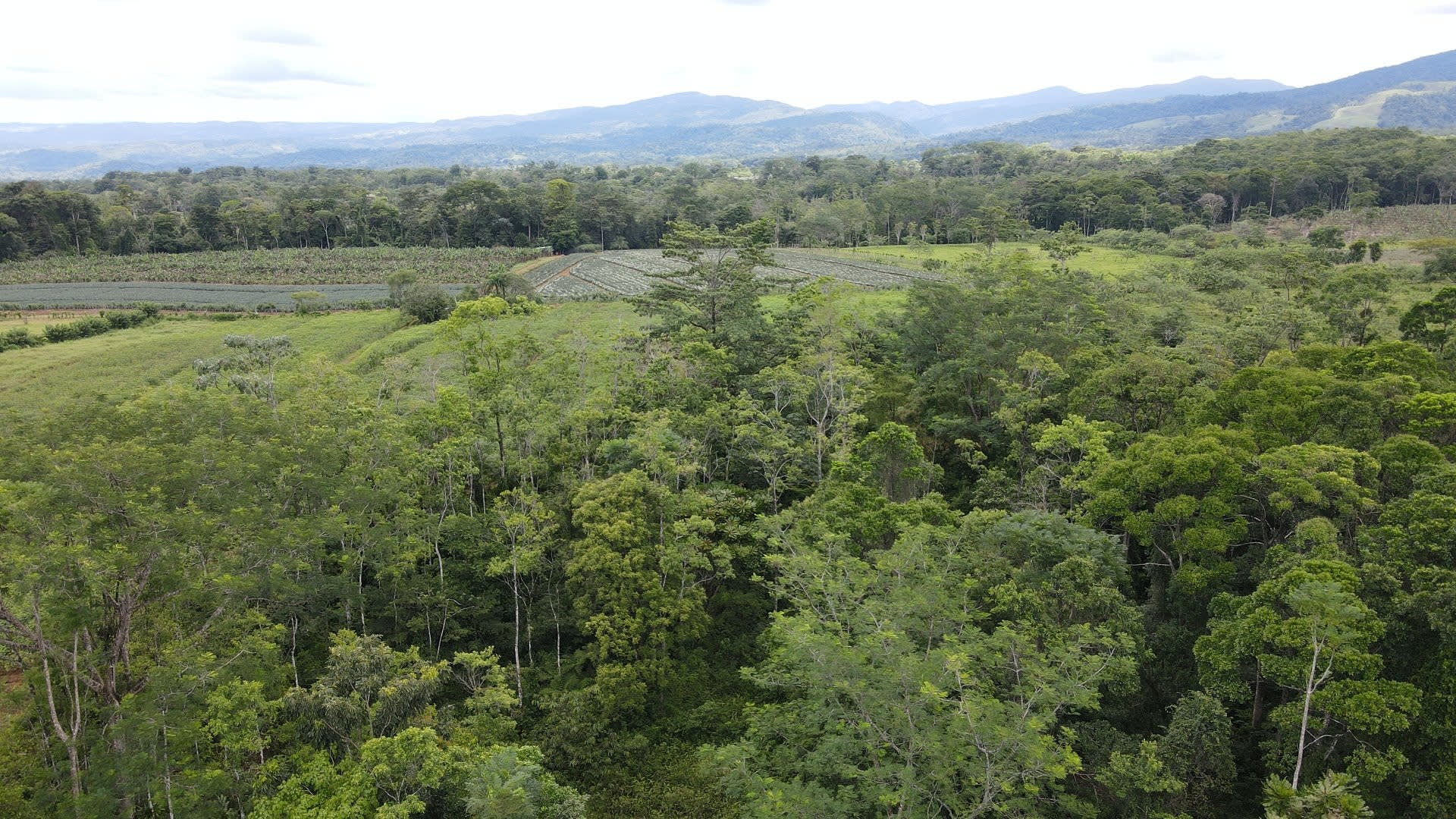 Beautiful Blue River Farm | Flamingo Property