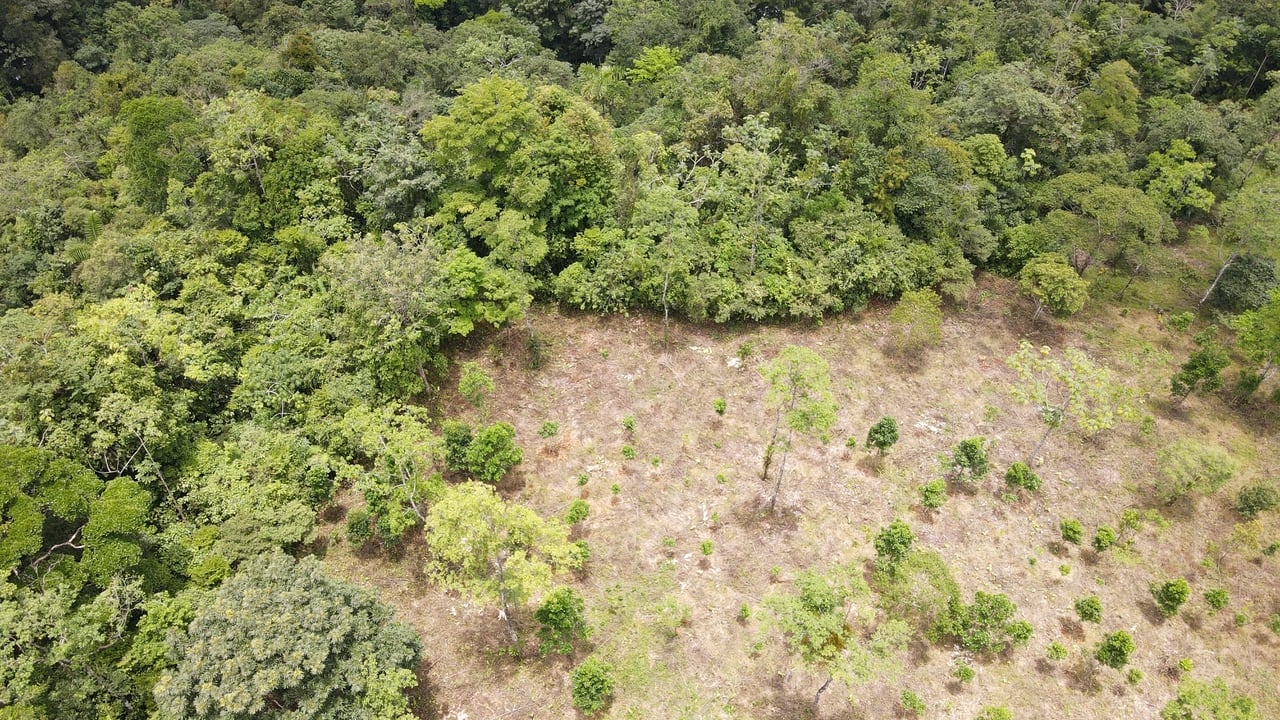 Seven Plus Hectares Land With Blue River | Flamingo Property