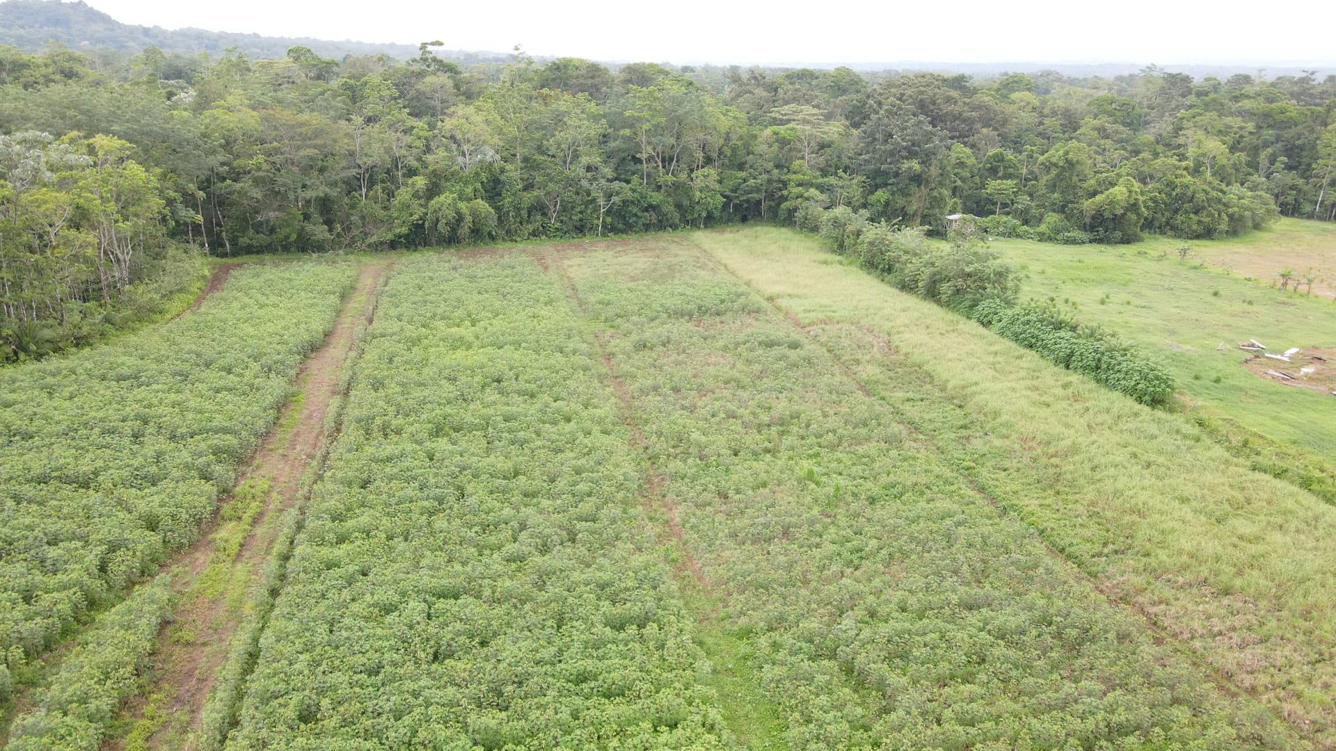 Beautiful Blue River Farm | Flamingo Property