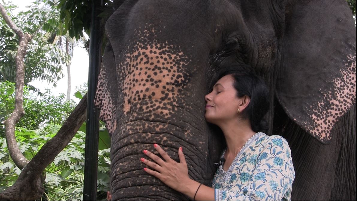 Explorer Classroom Event | National Geographic Society