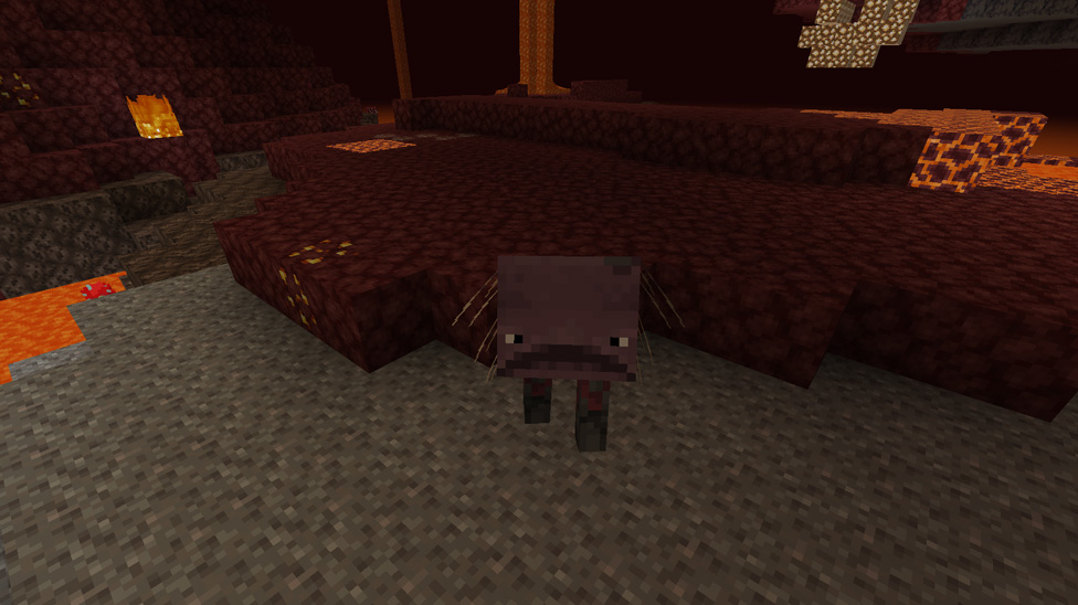 Things You Didn't Know About Striders in Minecraft - ScalaCube