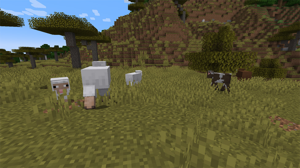 A Comprehensive Guide for Beginners - Scalacube