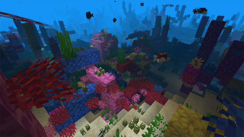 Everything you need to know about Coral Reefs - ScalaCube