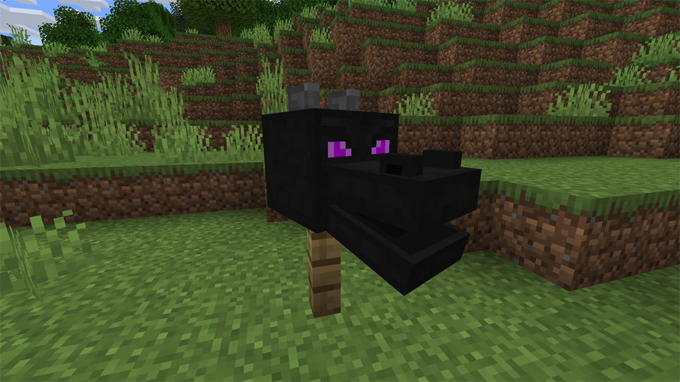 The Rarest Blocks in Minecraft - ScalaCube