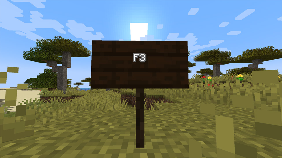 How To See Coordinates In Minecraft Scalacube