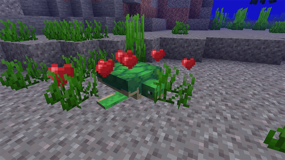 Unveiling The Culinary Preferences Of Minecraft Turtles What Do Turtles Eat Scalacube