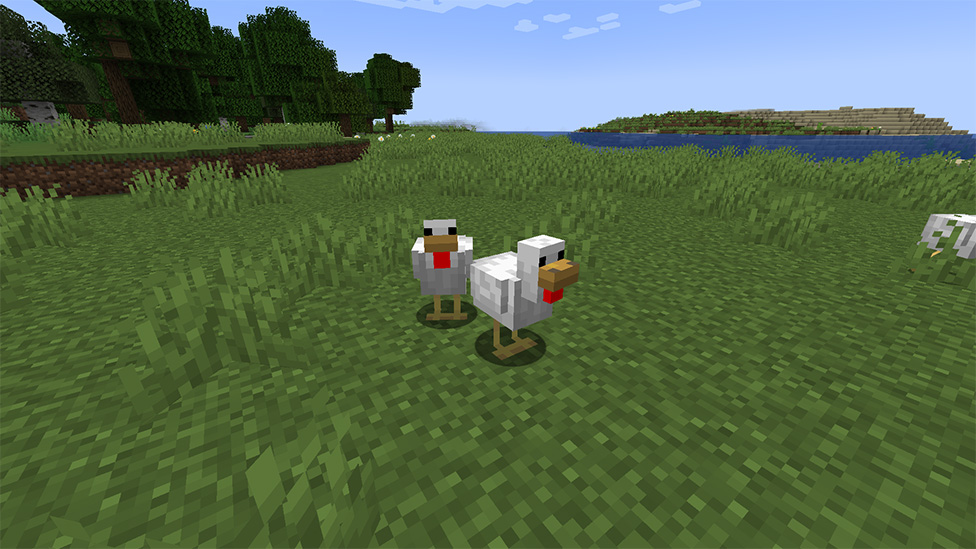 How to Build a Chicken Egg Farm - ScalaCube