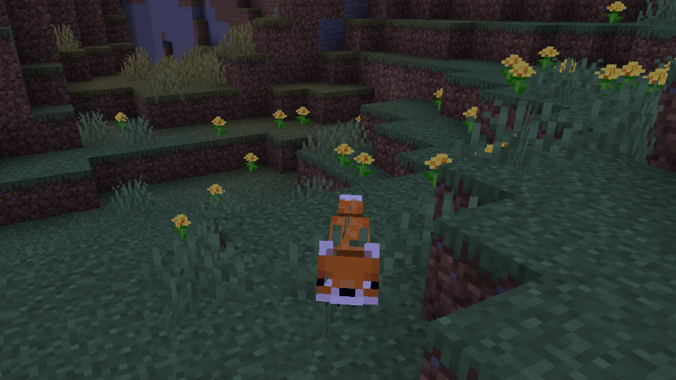 How to Tame a Fox in Minecraft - ScalaCube