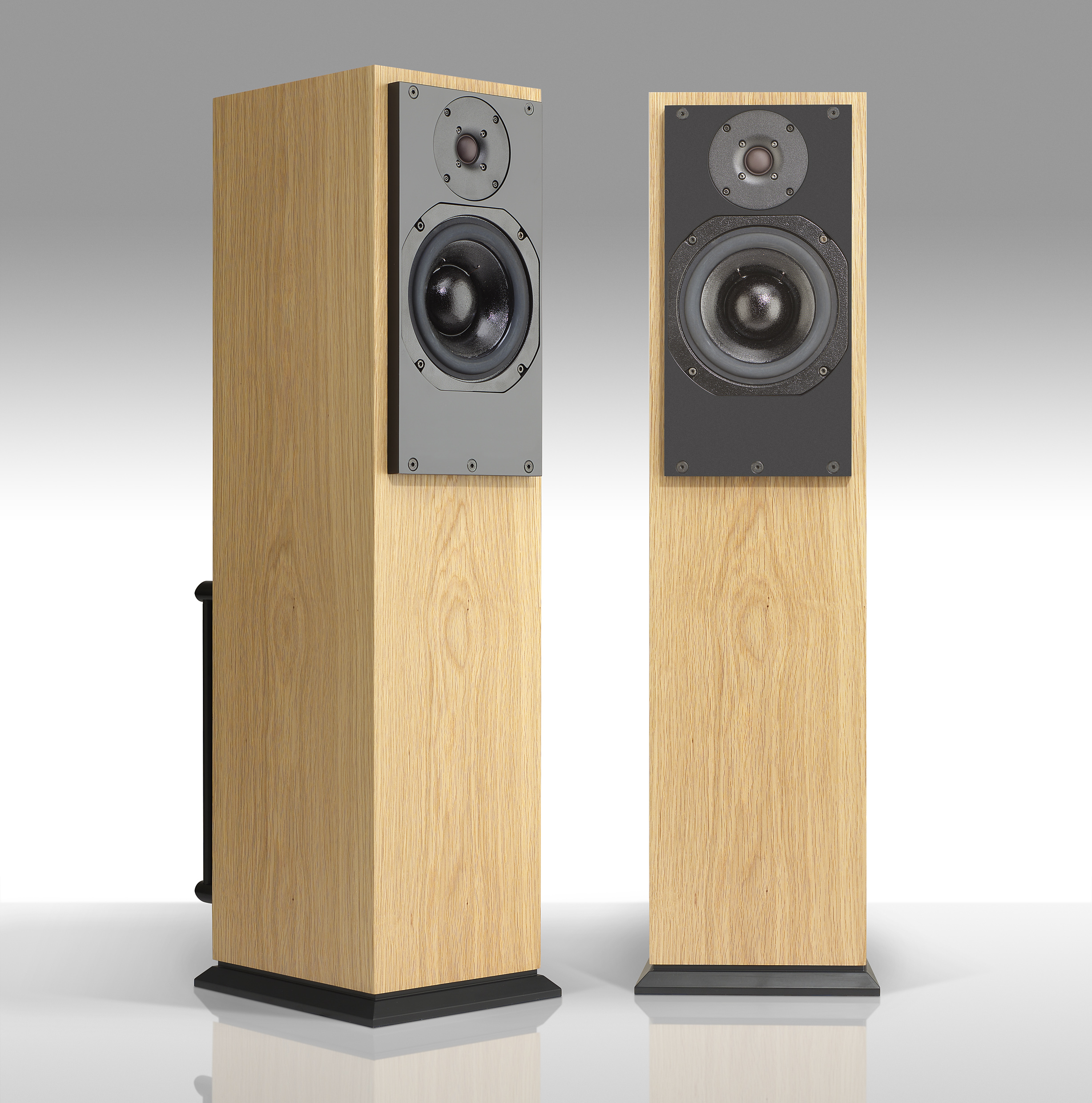 ATC SCM20T Ant grindų statomos kolonėlės | Lyra