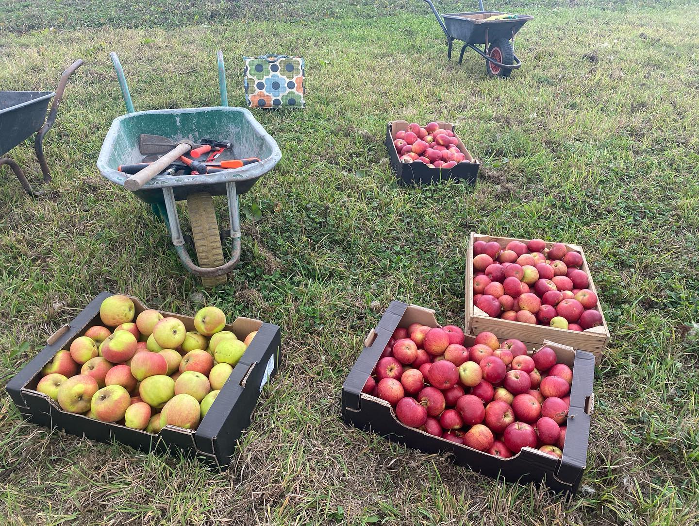Sign the Good Food Charter | Good Food Oxfordshire