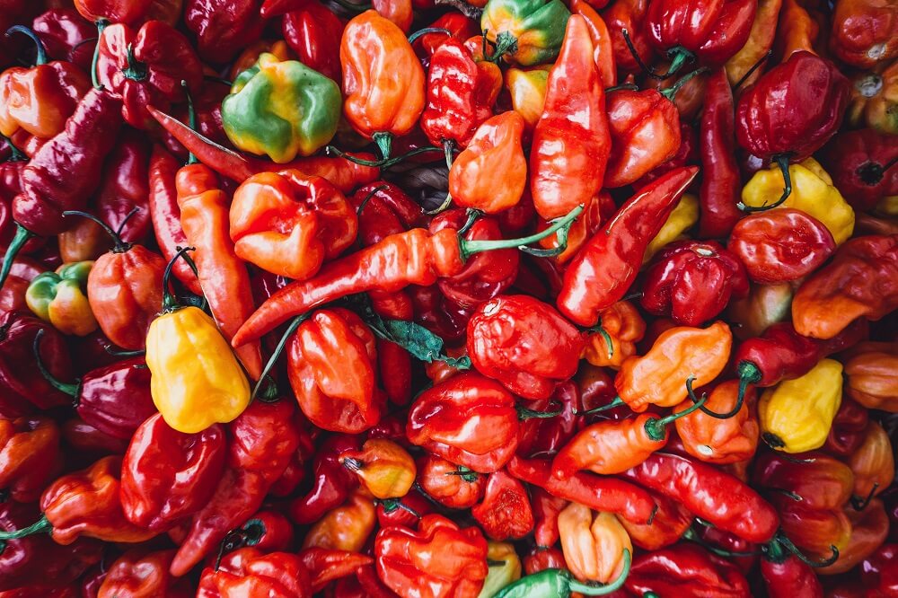 Food Support Resources | Good Food Oxfordshire