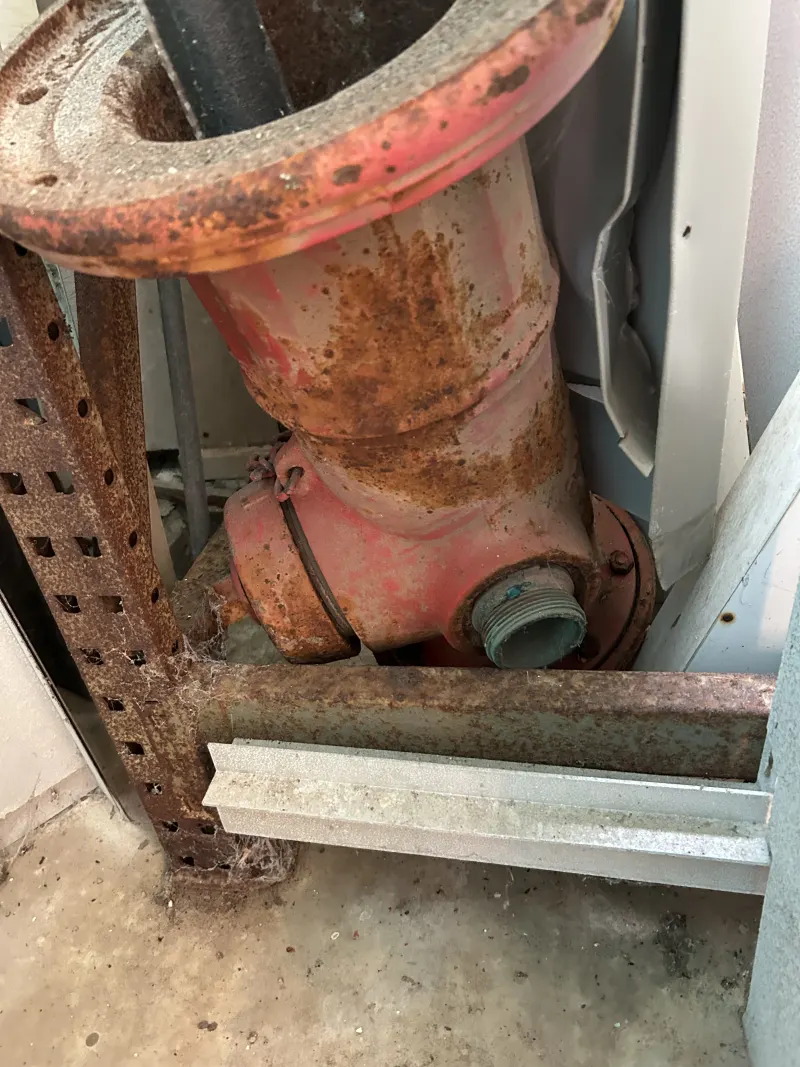 (2) Fire Hydrants | Surplus Marketplace