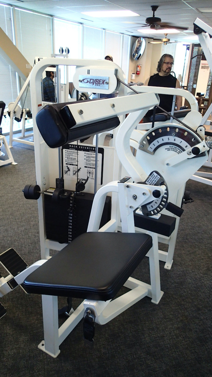 Cybex Back Extension Machine