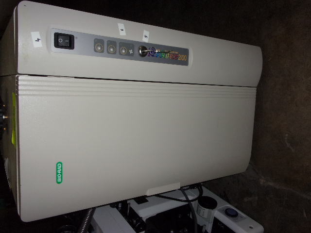 Nikon Eclipse E800 Microscope with Bio-Rad Radiance Laser Scanning ...