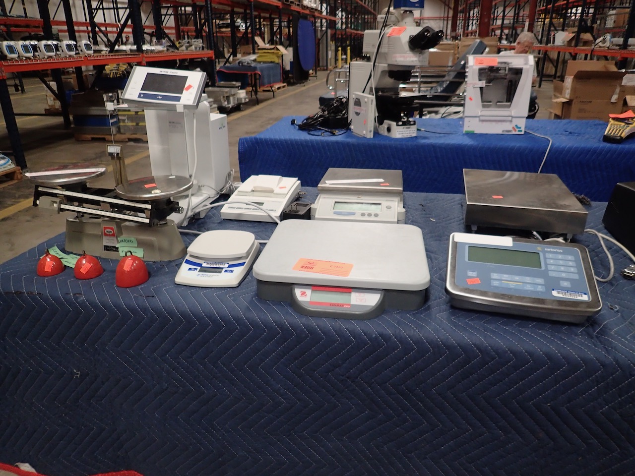 Assorted Scales And Balances | Surplus Marketplace