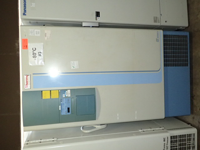 (1) Thermo Scientific Forma 900 Series Lab Freezer | Surplus Marketplace