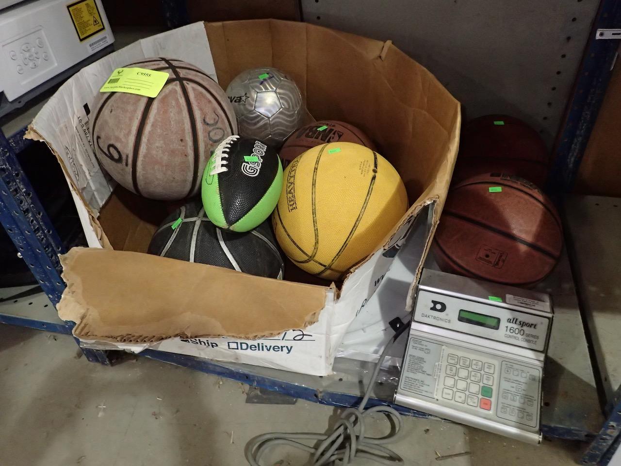 Assorted Sports | Surplus Marketplace