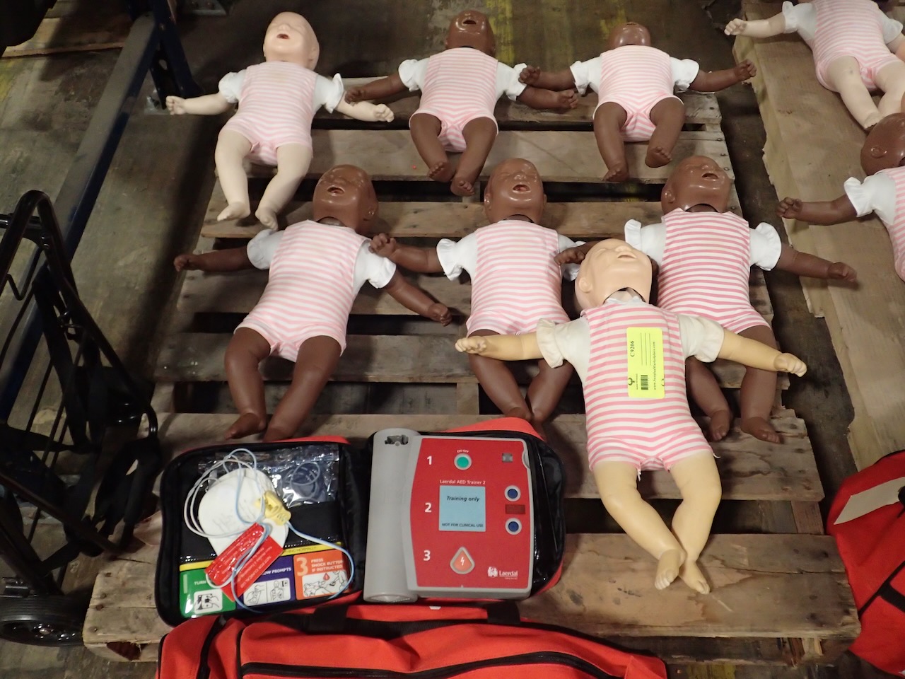 (20) Assorted CPR Training Mannequins | Surplus Marketplace