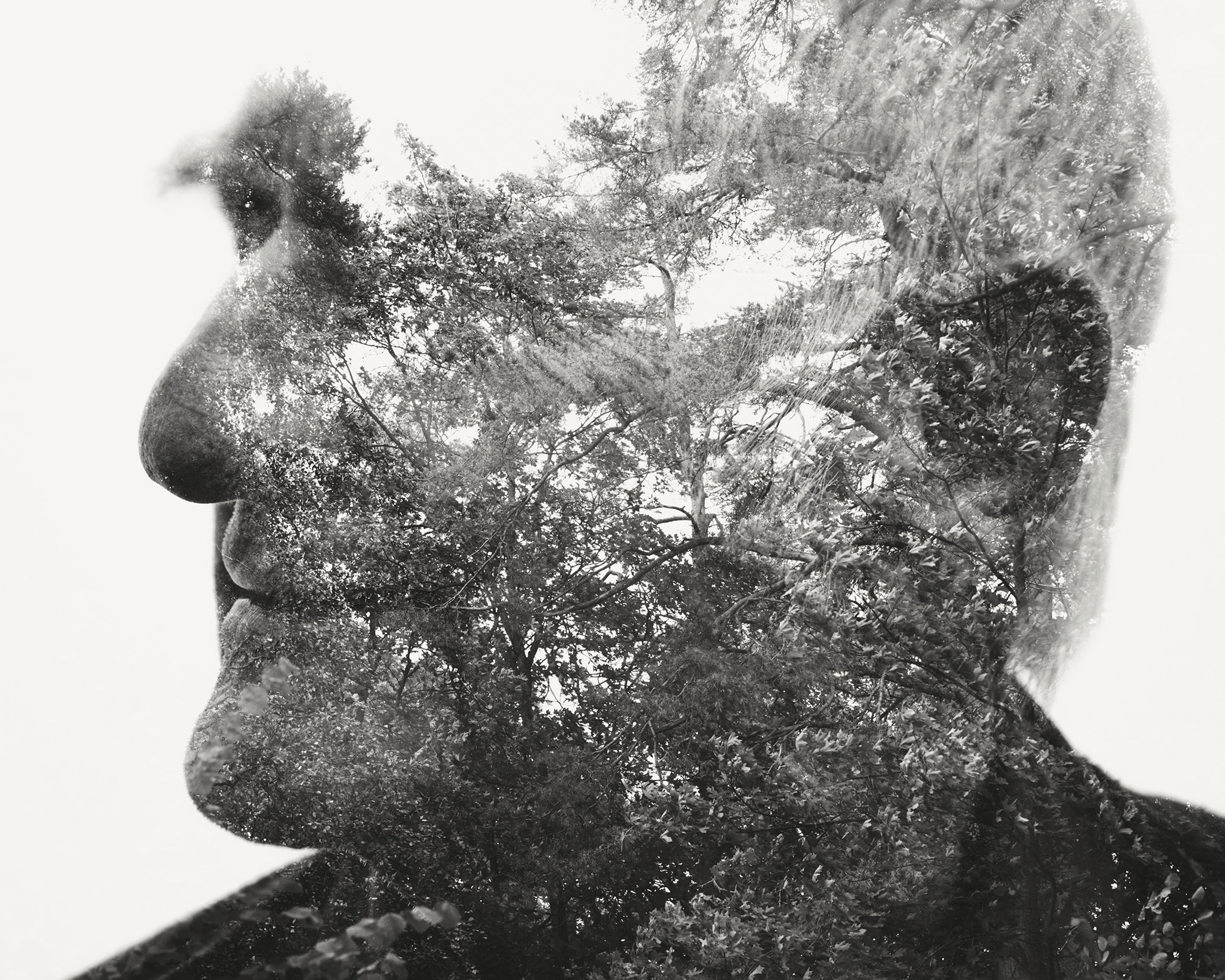 Fine Art Photography Christoffer Relander Troll