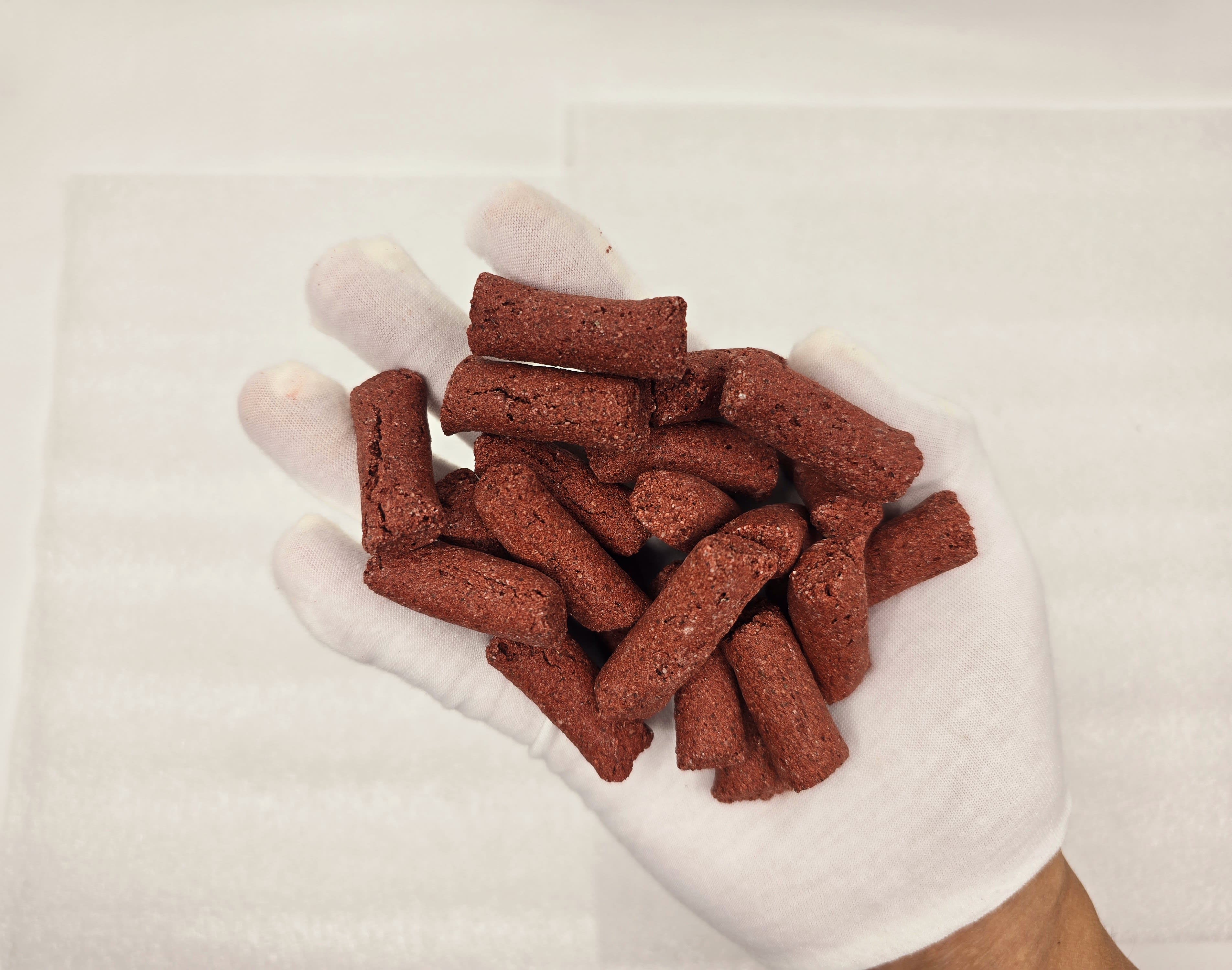 Biohome Ultimate Media | GreatWave Engineering