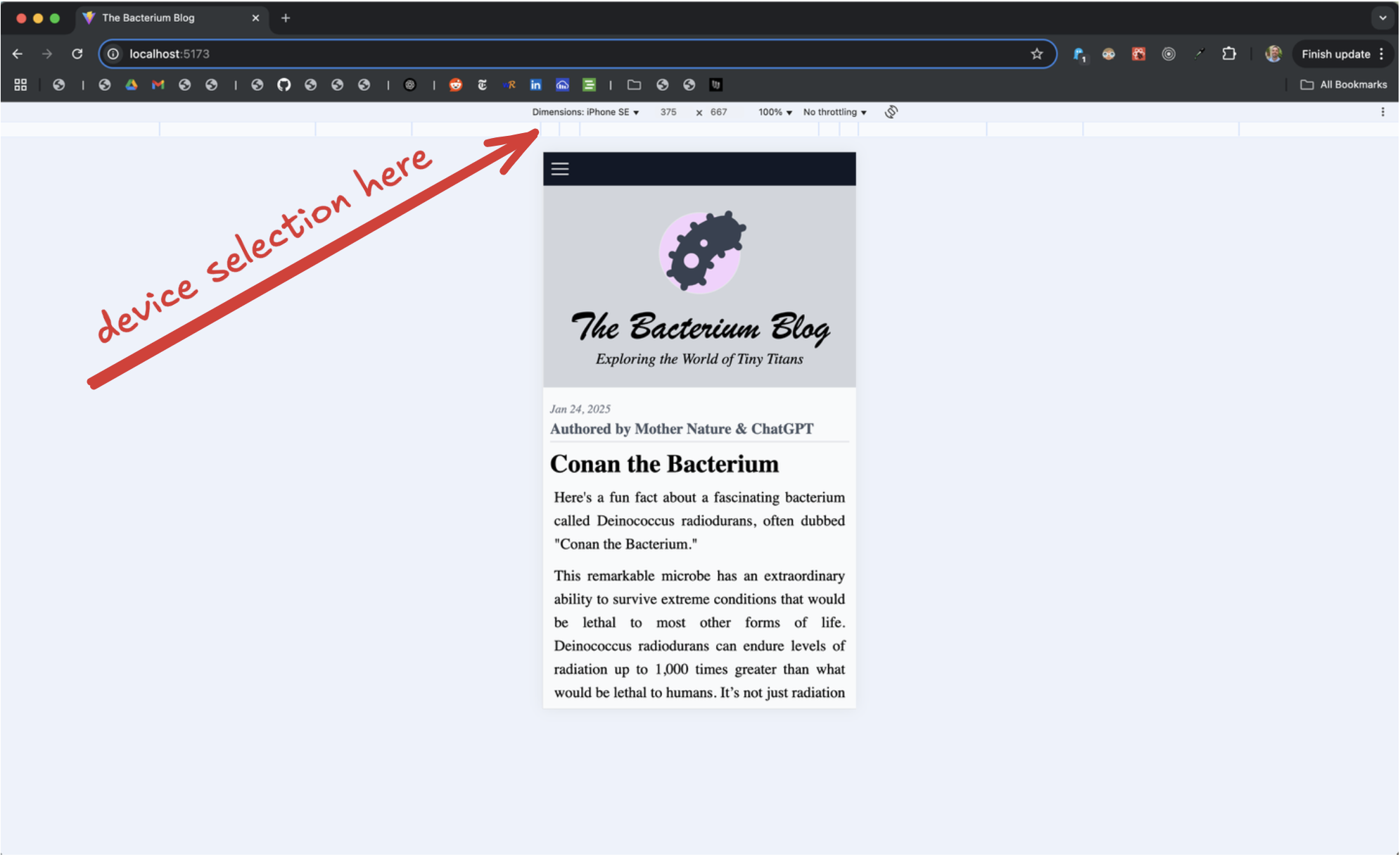 Mobile first design with Tailwind CSS - DEV Community