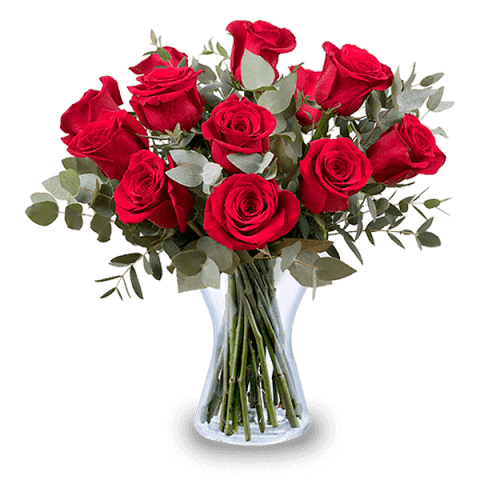 Bouquet de fleur rouge | Amour infini : 12 fleurs rouges
