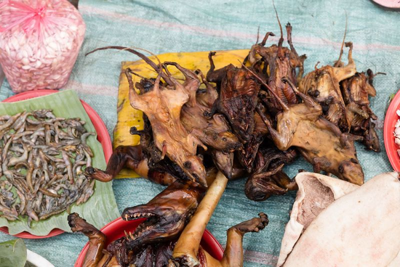Platos de Comida Exótica Alrededor del Mundo | Memphis Tours