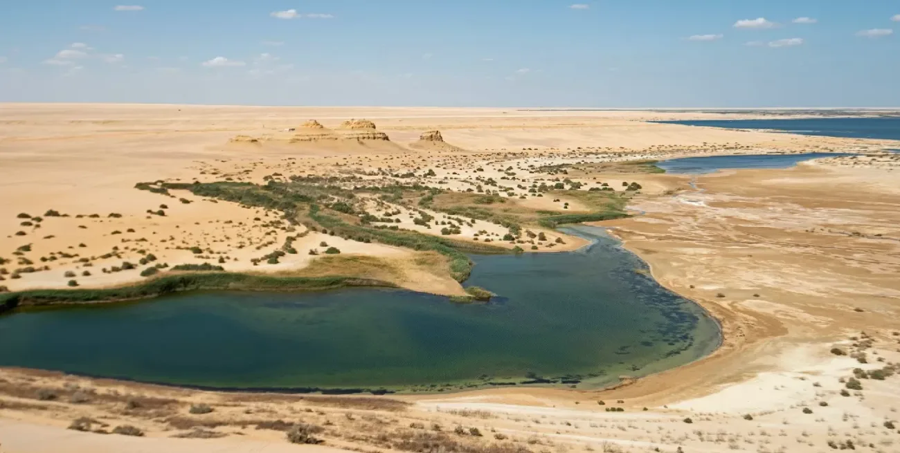Oasis de Fayum | Naturaleza, Historia y Qué Ver en Egipto
