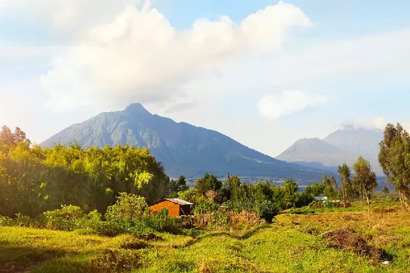 Safari in Rwanda | Rwanda Safari Tour