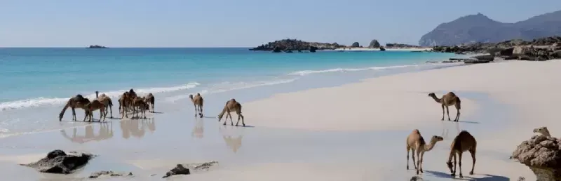 Oman Mare: I Paradisi Nascosti Che Nessuno Ti Ha Mai Raccontato