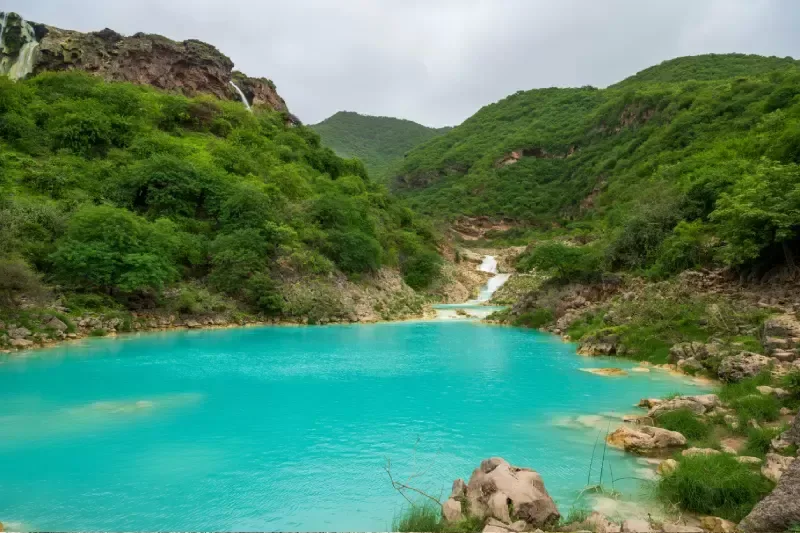Salalah mare: spiagge tropicali nel sud dell’Oman