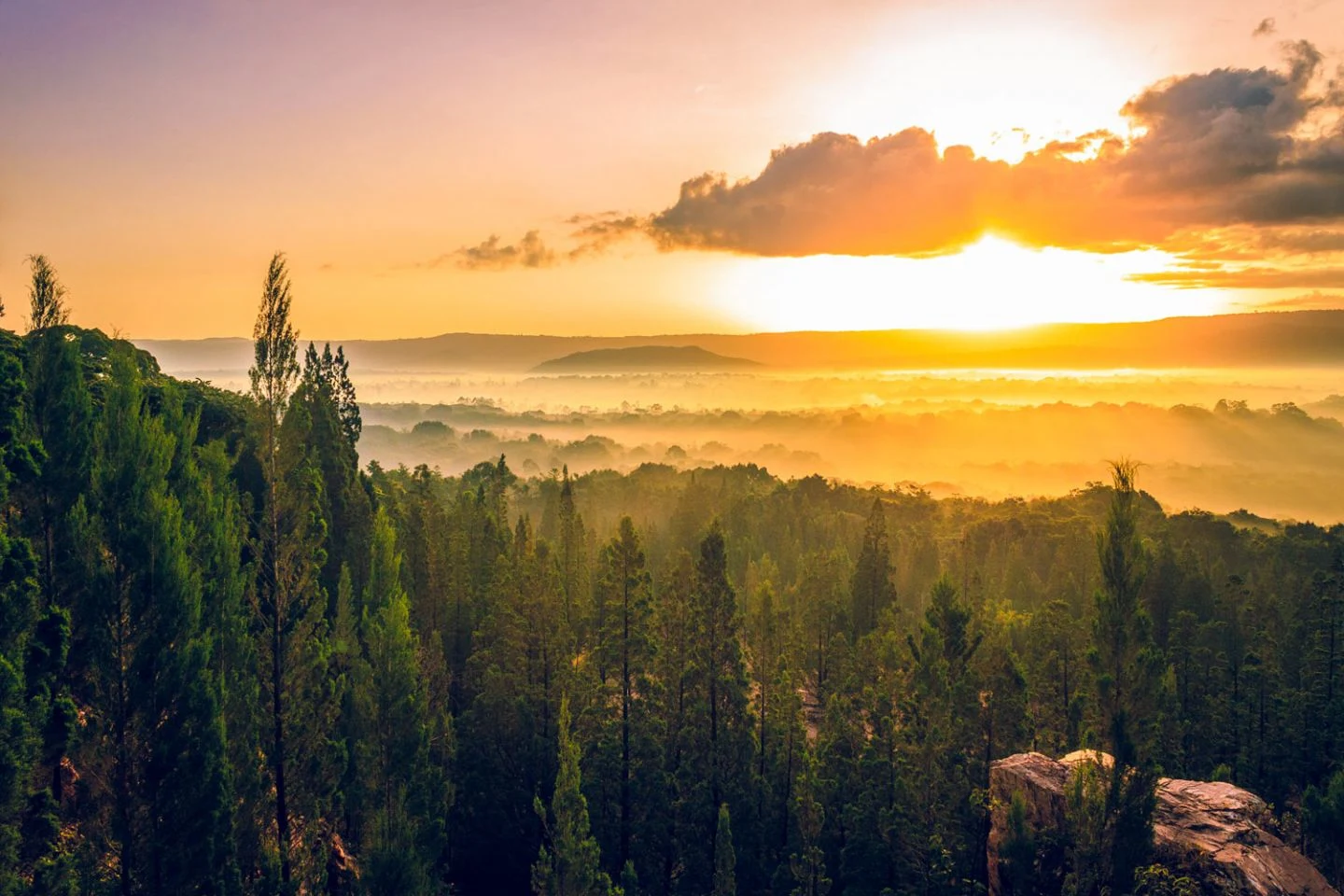 Saanane Island National Park | Memphis Tours