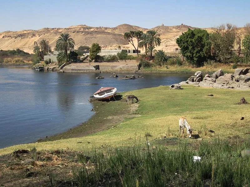 Elephantine Island - Memphis Tours