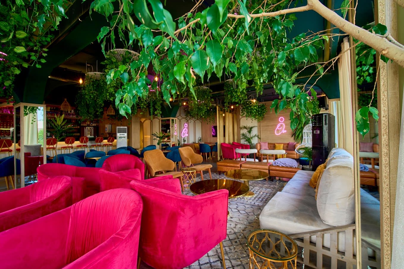 Oso Lounge | FlavorQueste