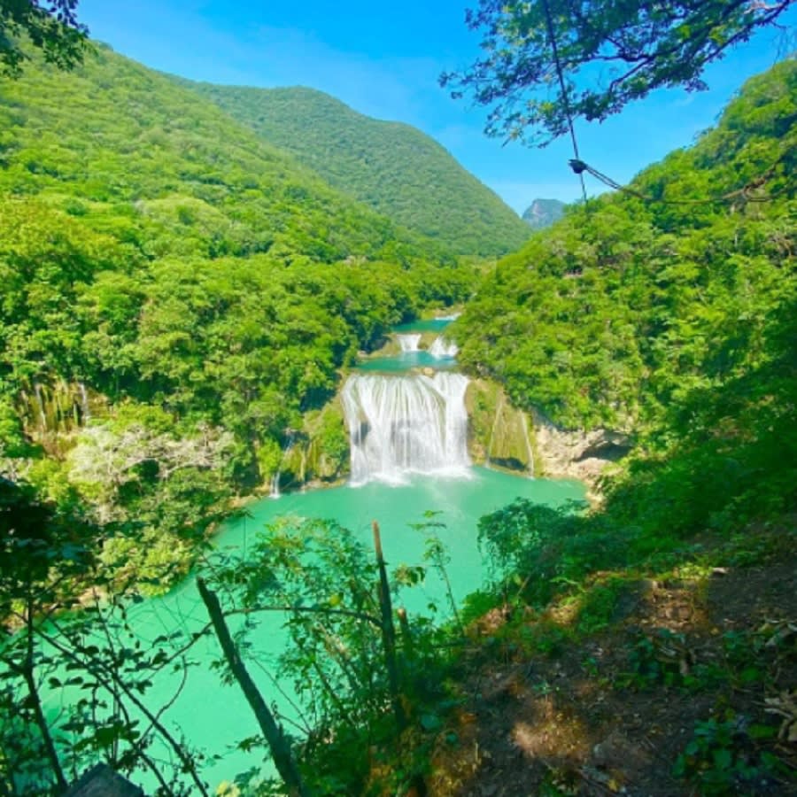 Salto de cascadas y/o tirolesas en Cascadas de Micos - Vive Huasteca