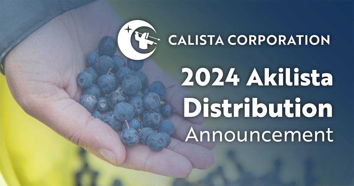 Calista’s 2024 Akilista Distribution Grows to Over $4.3 Million ...