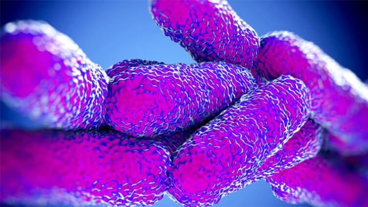 Some Interesting Facts about Legionella | Phoenix Health & Safety