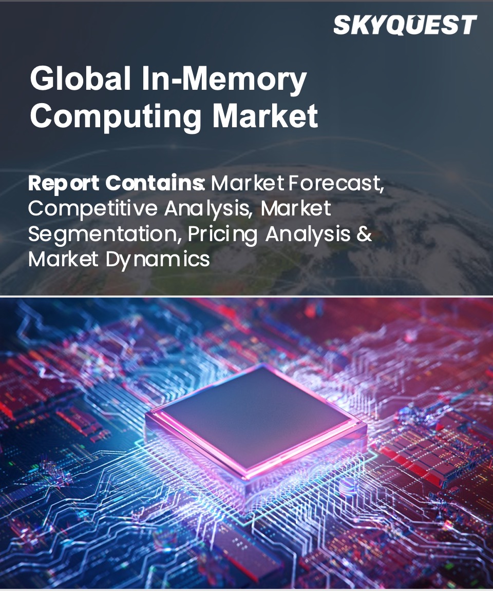 In-Memory Computing Market Growth, Drivers, and Long-Term Insights