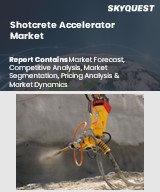 Shotcrete Accelerator Market Worldwide