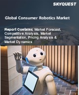 Consumer Robotics Market Size, Share, Growth, and Forecast [2032]