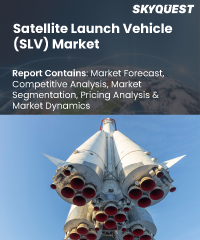Satellite Launch Vehicle (SLV) Market Worldwide