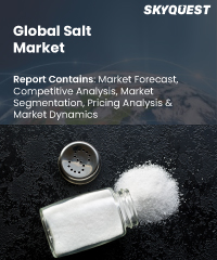 Salt Market Analysis