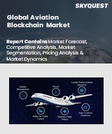 Aviation Blockchain Market Growth, Trends, and Long-Term Insights Report