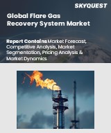 Flare Gas Recovery System Market Companies